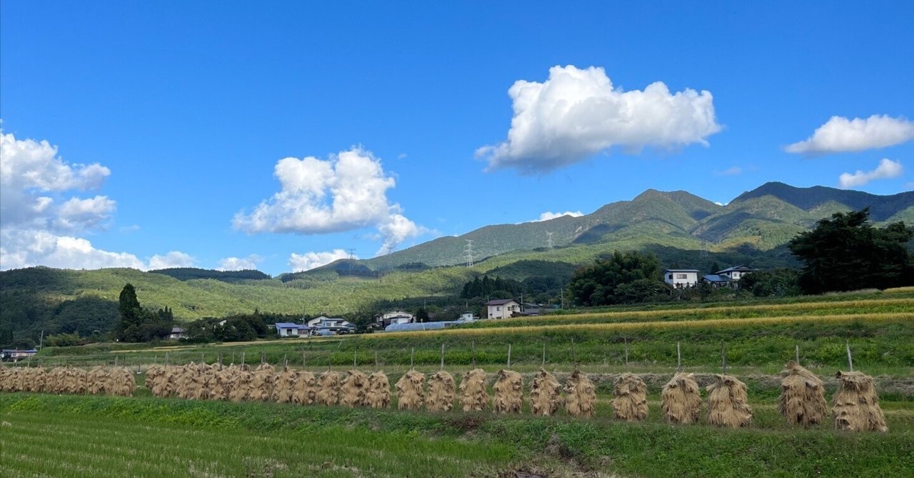 目指す農業像 #18｜Shinta Ninoto