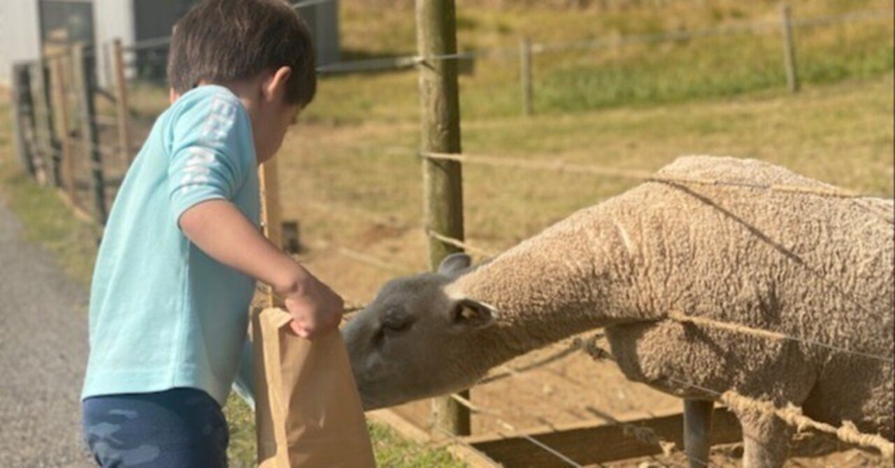 細胞診によって癌は散らないのか｜Shuri_0220