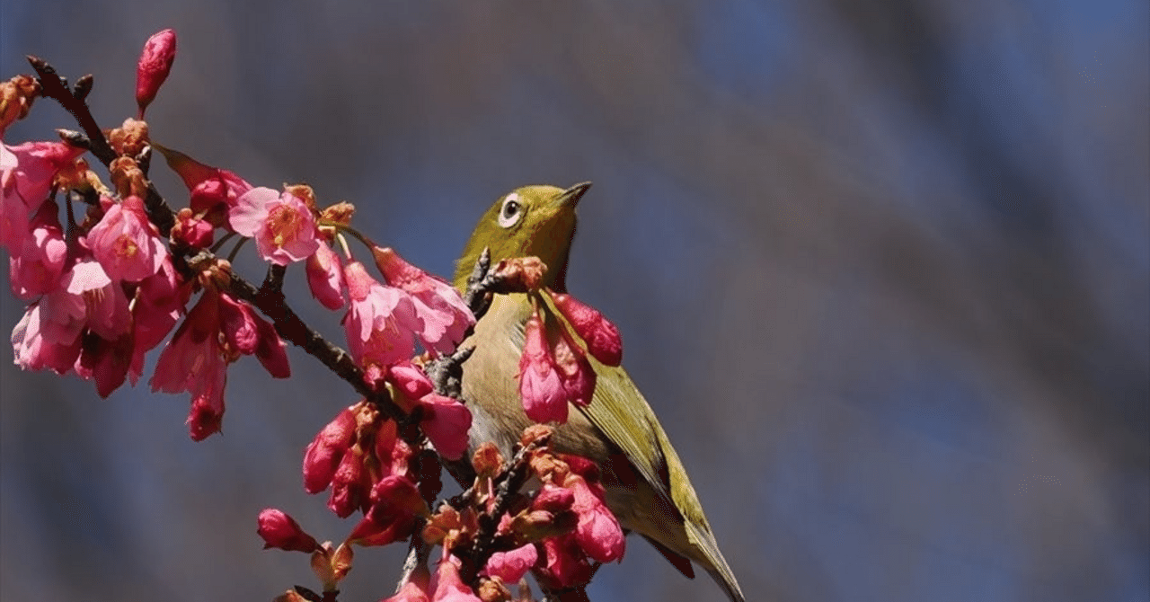 Tailwind CSS実践入門｜blue06_2022