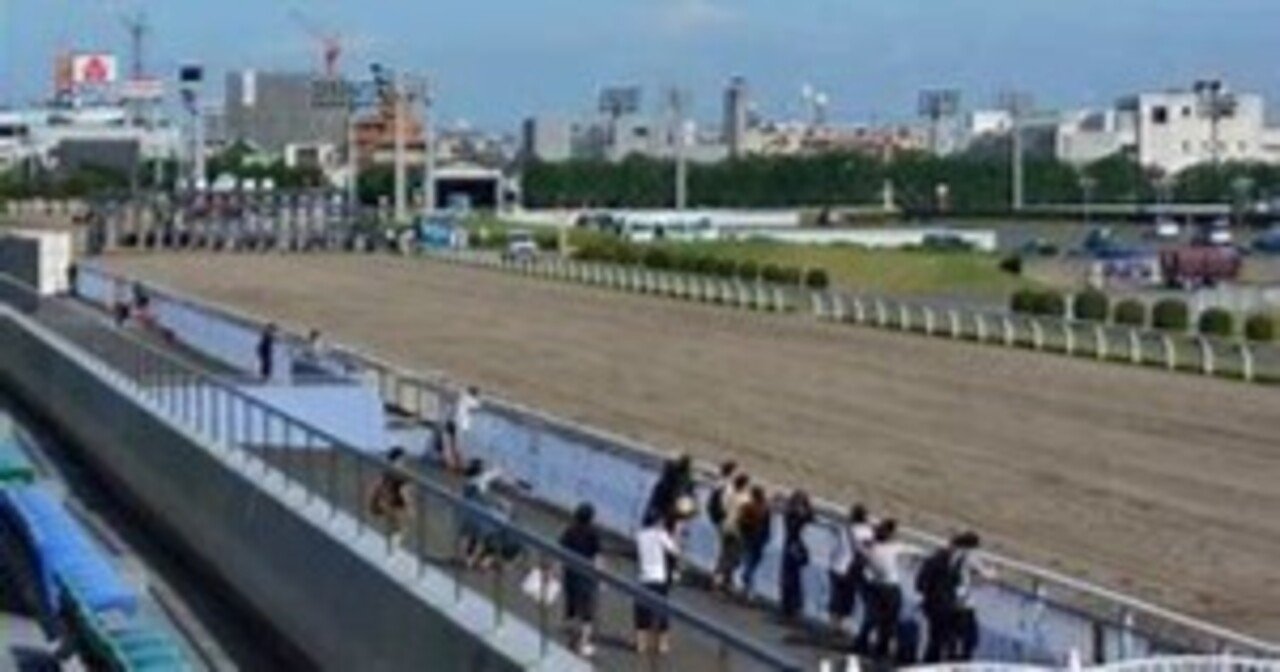 【川崎👊🏇勝負レース🏇🔥👊🔥】314（木）【10r】神奈川の酪農応援賞（発走時刻1550）｜さやだま