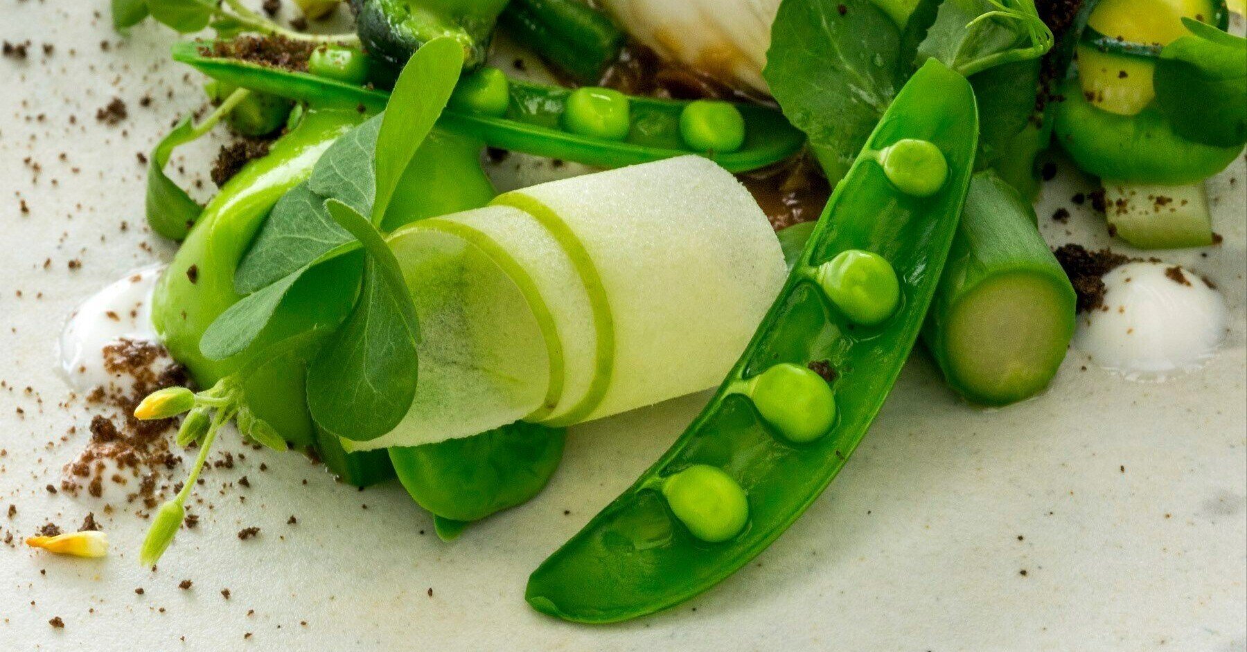 Sola Factory 公式｜note