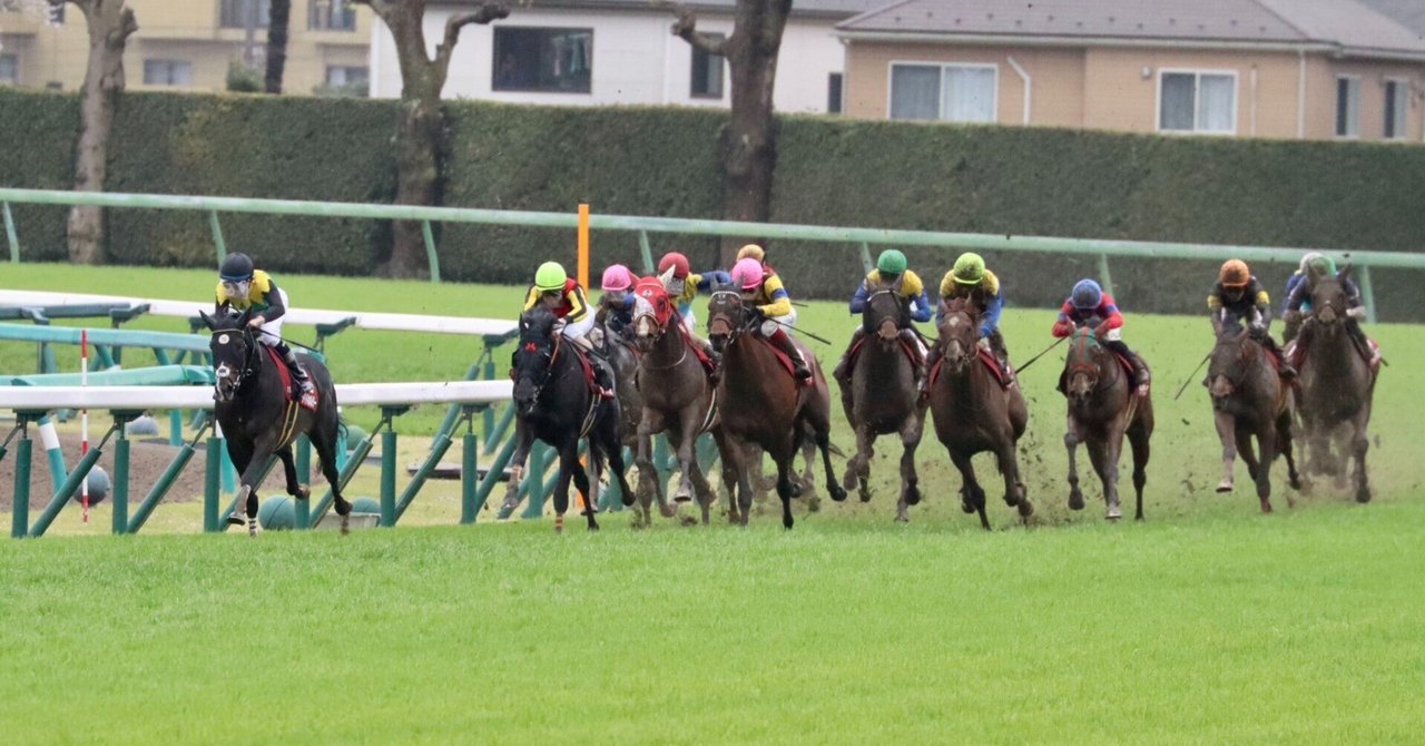 【2024 日経賞（g2）】日刊馬番コンピ指数分析予想篇｜haya