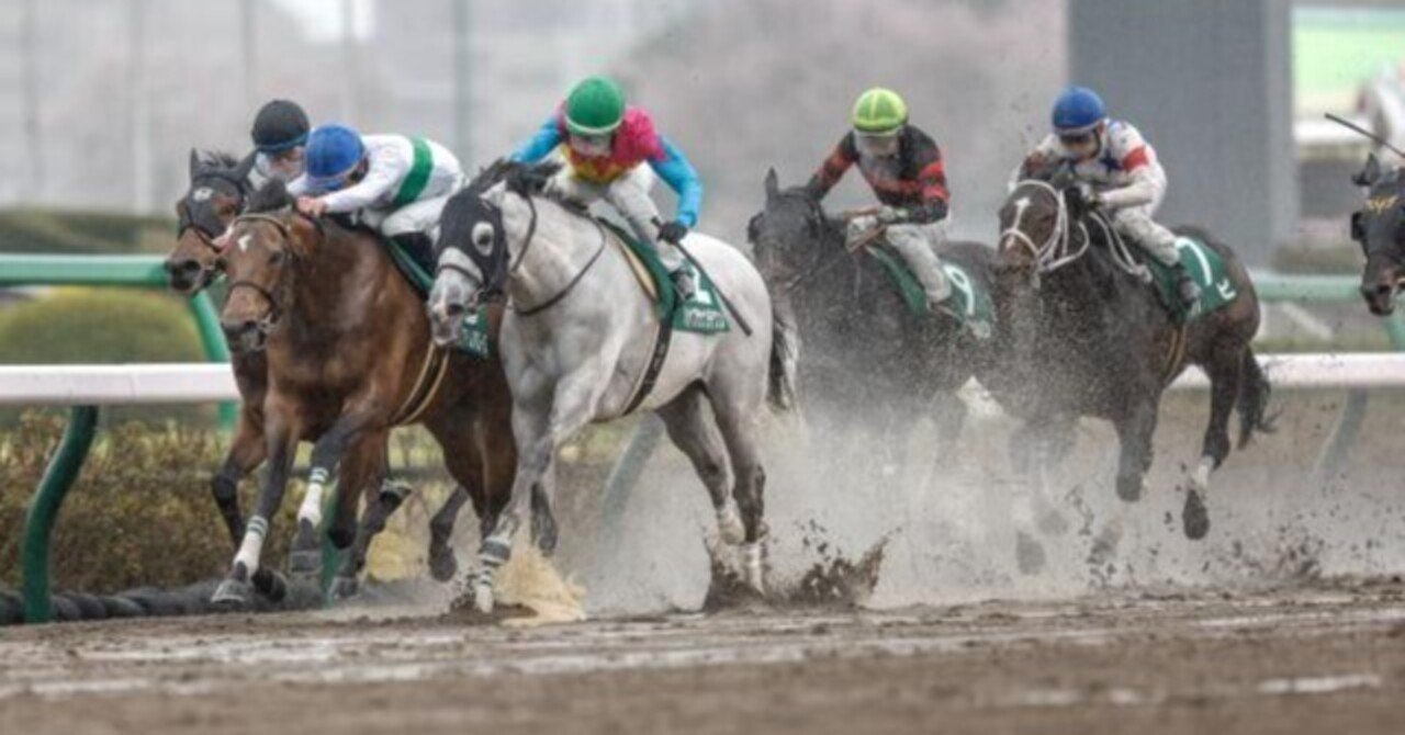 【2024 マーチS（G3）】日刊馬番コンピ指数分析予想篇｜Haya