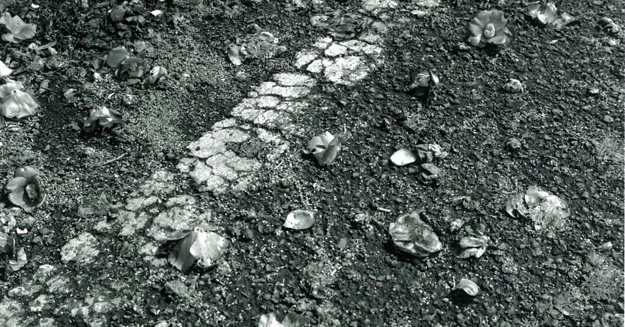 3月14日｜OHO KANAKO