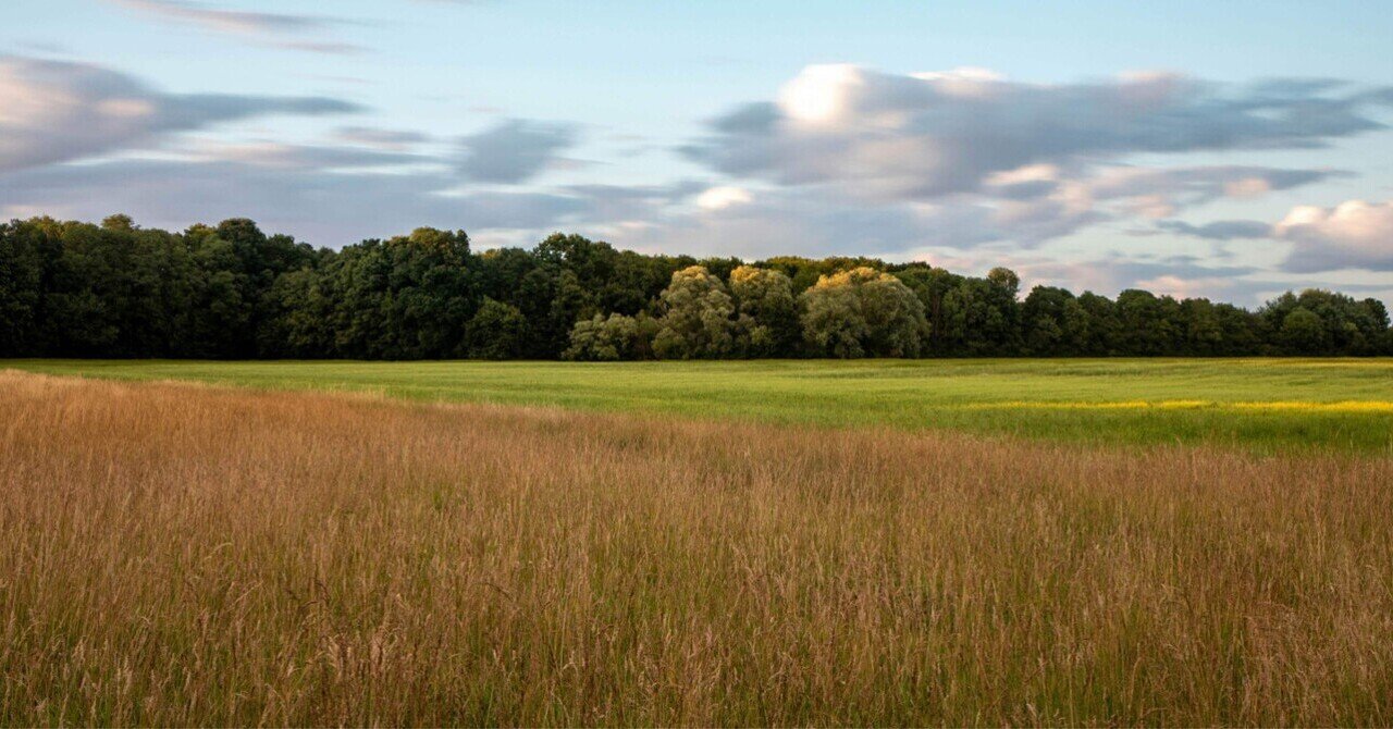 Biblia studere ⅩLⅰⅤ, Luc8:9-10、譬と謎｜harimako