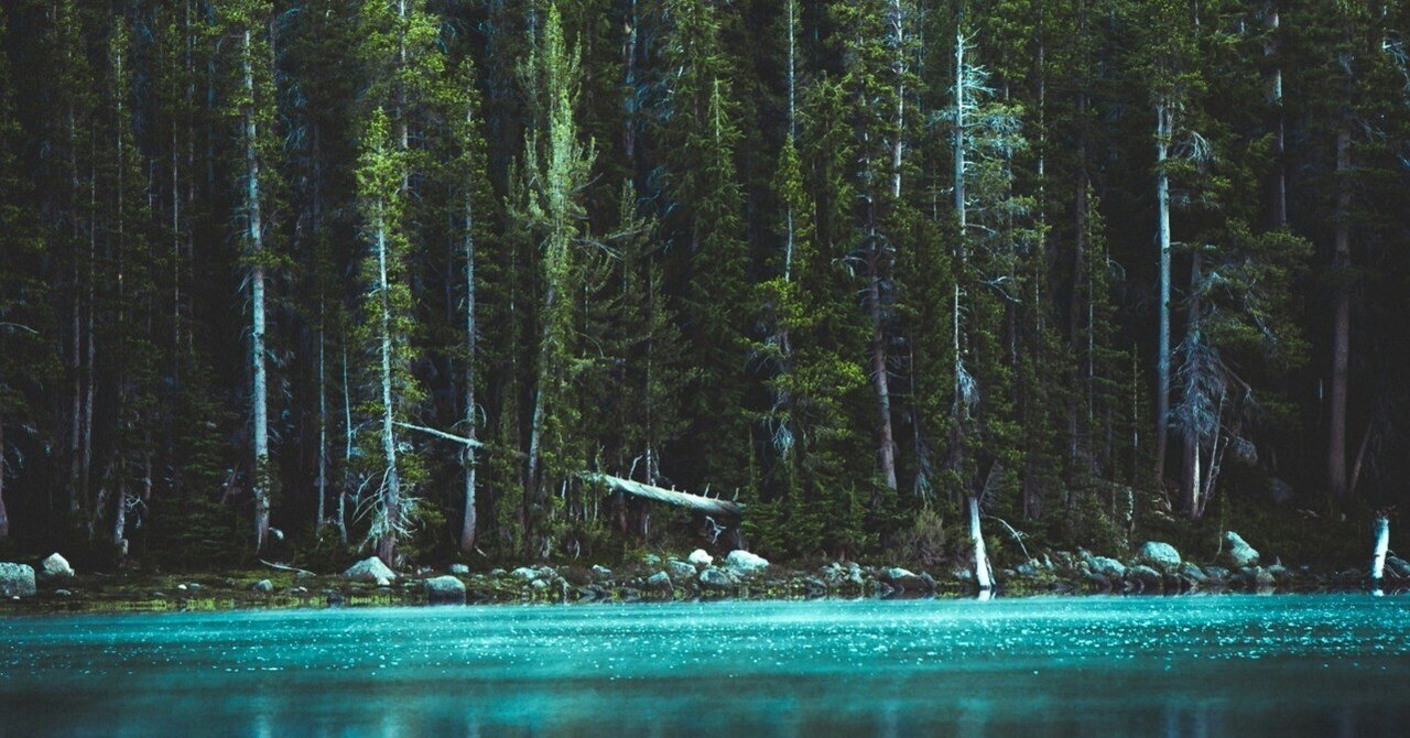 この胸の焦りに身をまかせ｜Yusei Sakamoto