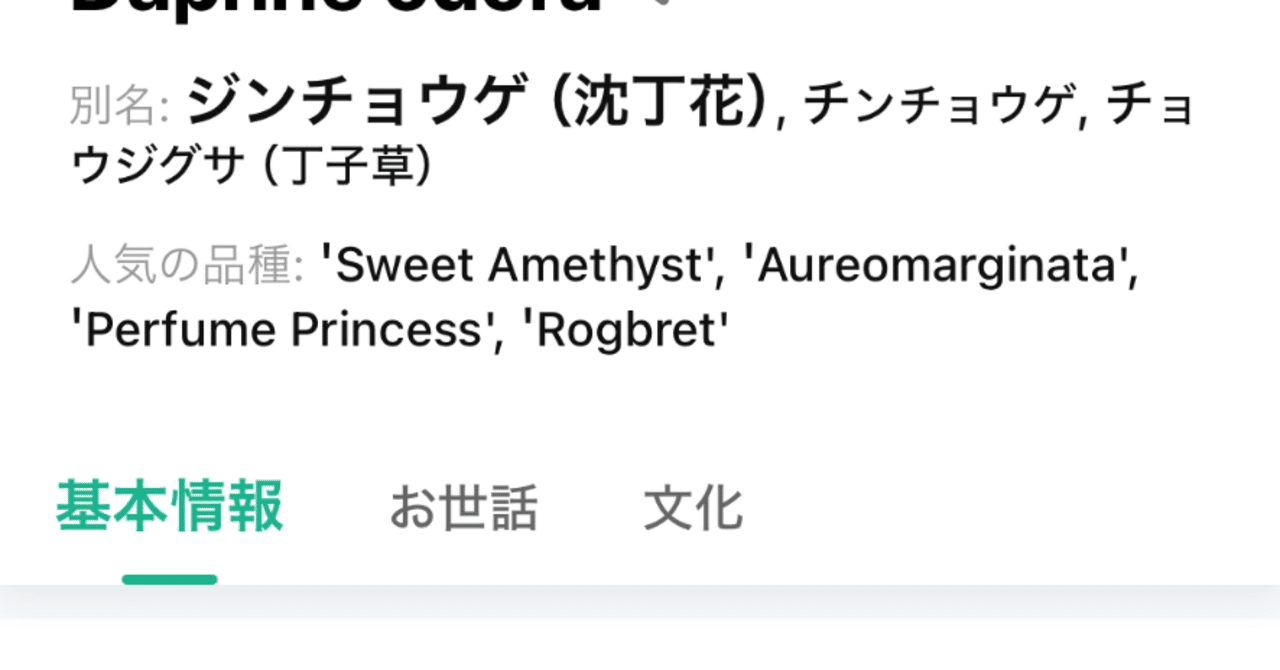 ヒトテ着てアッサム（暑寒） 2024/03/15｜いちる