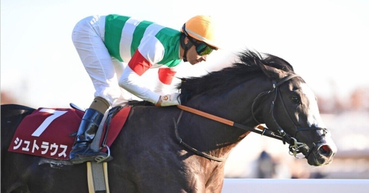 厩舎考察 武井亮厩舎 ファルコンS2024編｜nalnal