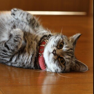 第9章 CIAパート3について ｜sarnya