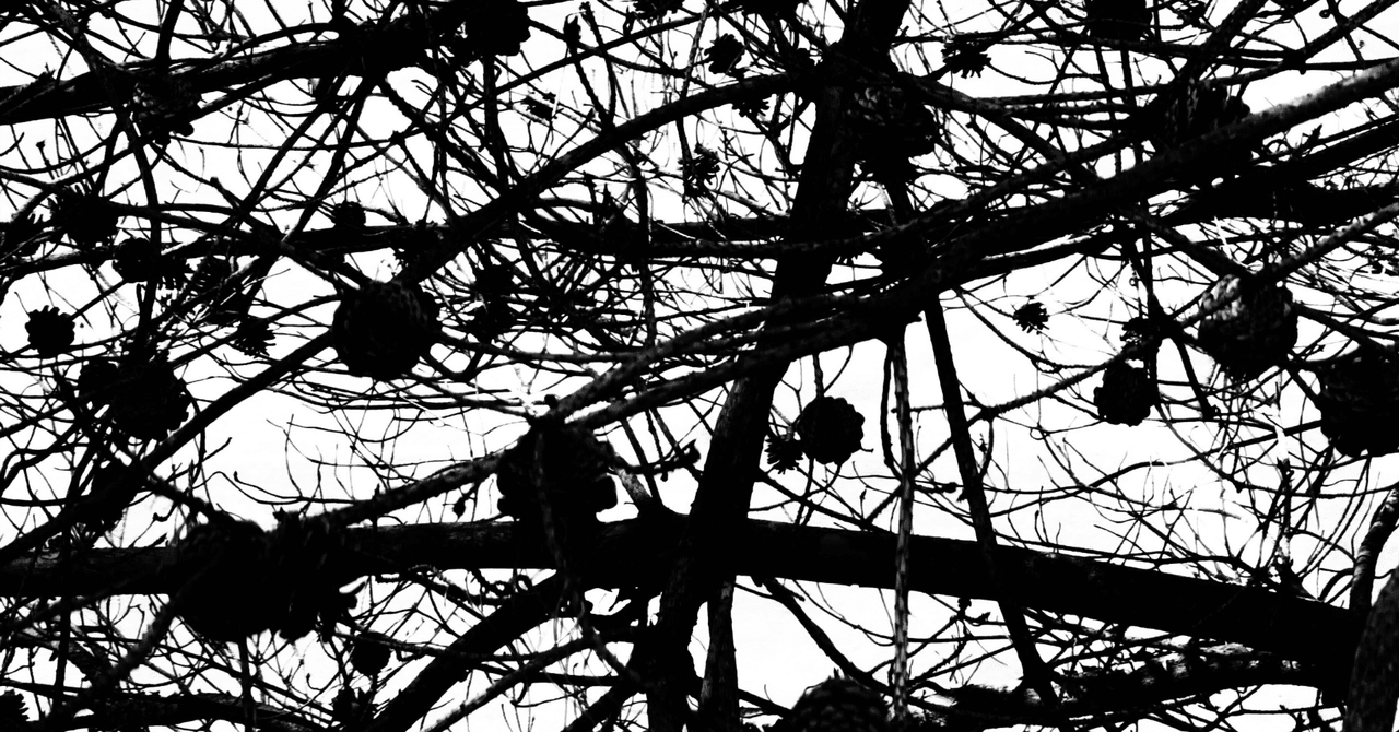 悪いことは1やると10伝わる｜Kosuke_Kakihara