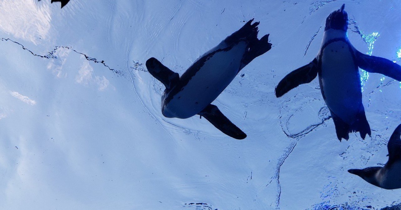 毎日暑いですね｜Home Training Serene;