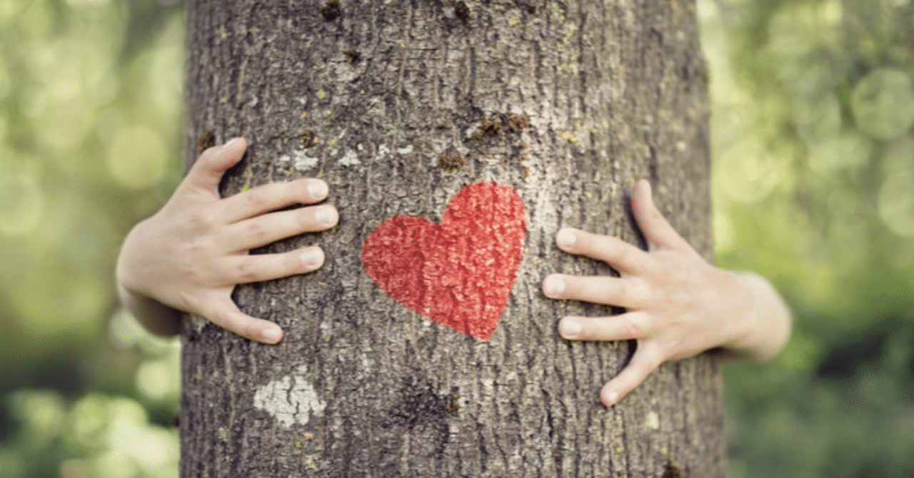 目の前で起きた事象からの推察｜Risa🍃Mind-Brain.Labo（元人事のセルフハックナビゲーター）