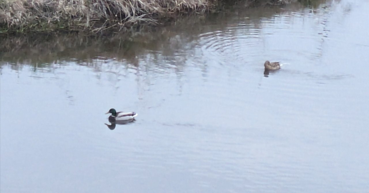 2巻228番〜作者 河辺宮人｜ichiro70
