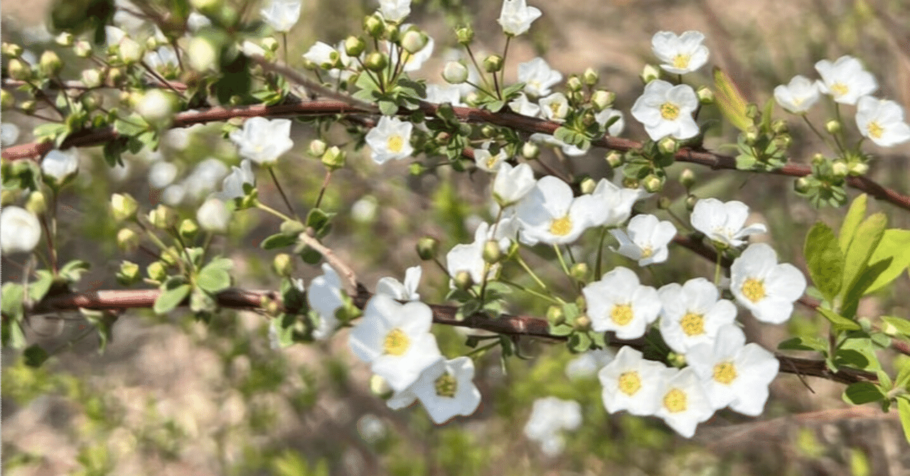 同棲に対する不安｜紺野みなみ