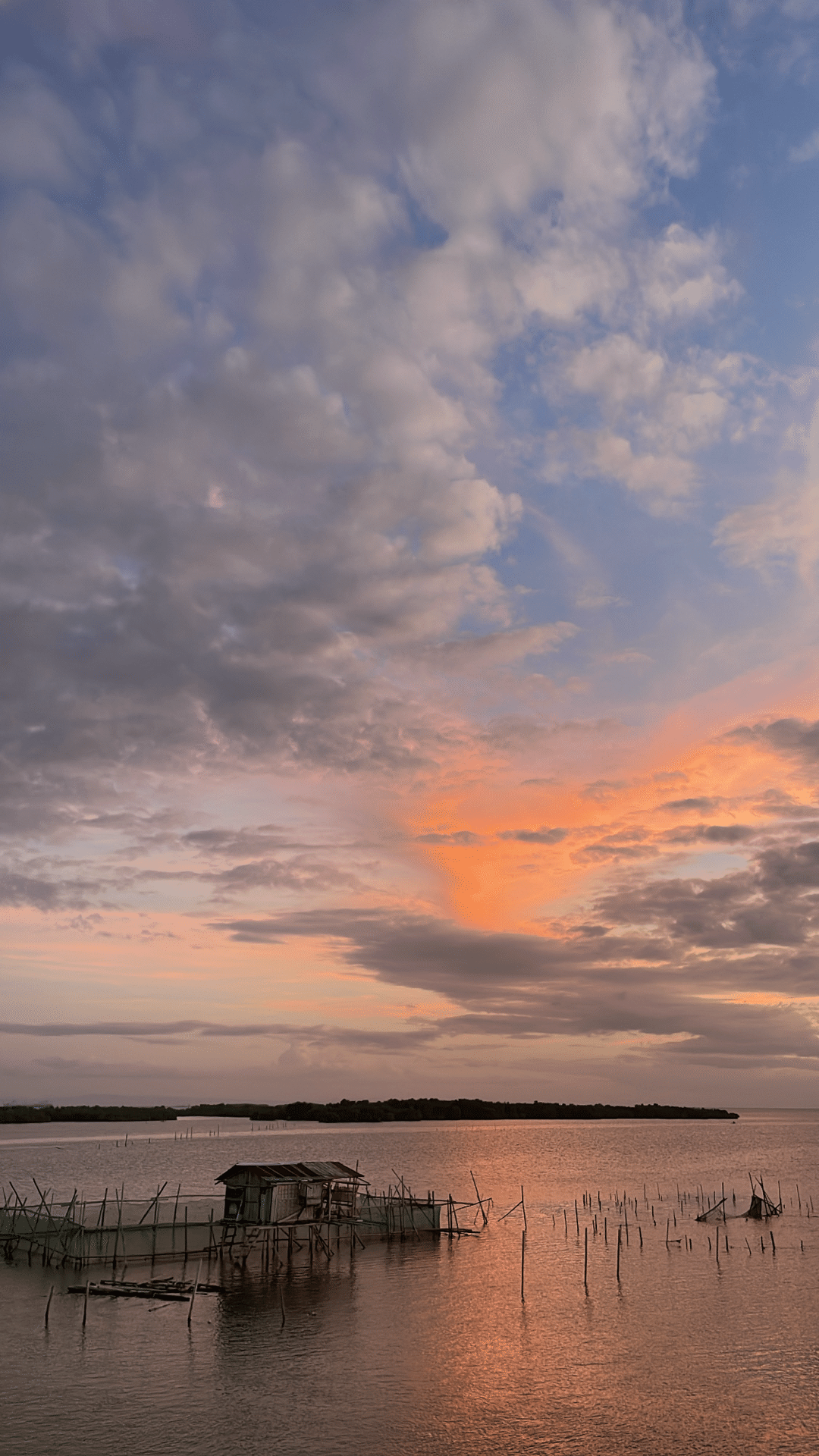 A quick journal for reminding myself?｜Karin Goerge おさるもんき