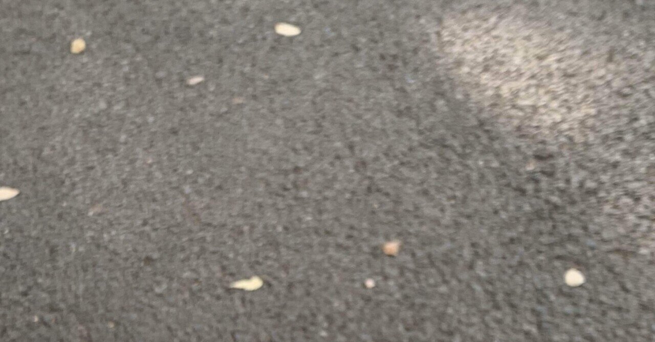 『人は、人を浴びて人になる。』 2024/3/18｜yuichi usui