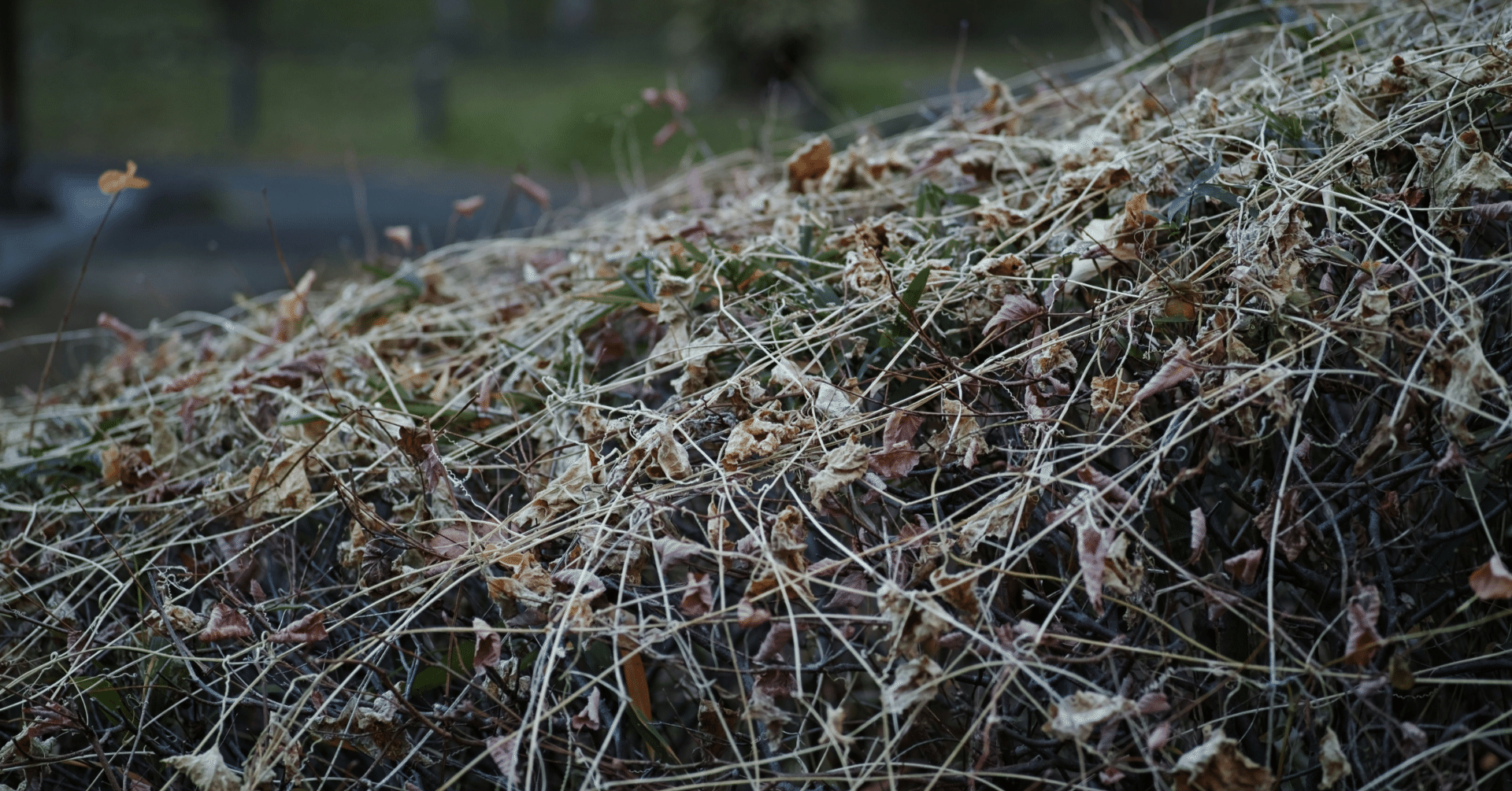 Ryosuke Matsusima｜note