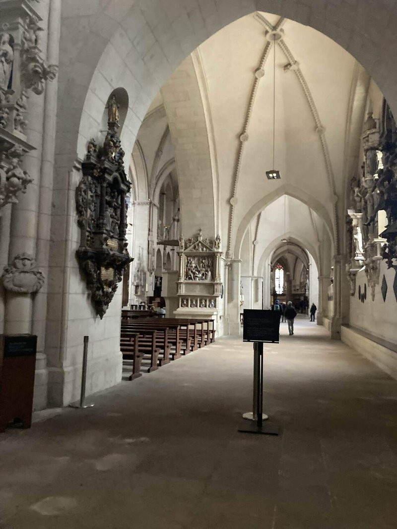 ミュンスターまちあるき🇩🇪｜Sena MATSUI