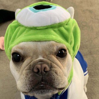 chie@フリーランス経理｜note