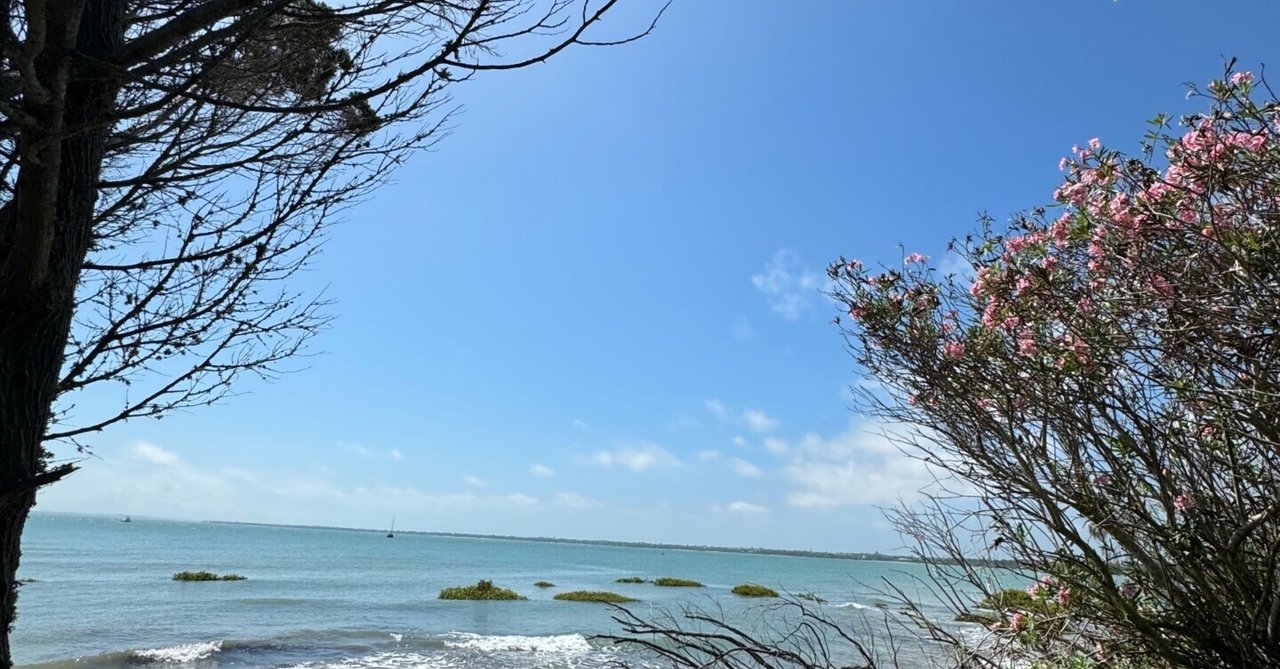 我が家近くの大自然 in オーストラリア｜Muff Hiro