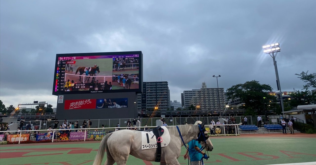 【交流重賞の旅2024~第7章~】320水 大井11r 京浜盃(2010発走)【勝負馬券も公開!】|taroの地方競馬
