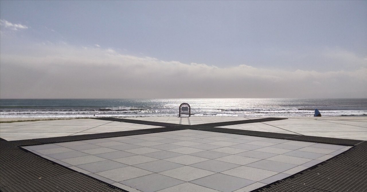 《SOUP vol.5》Avandoned flowers｜花田千絵子 ｜ Chieko Hanada