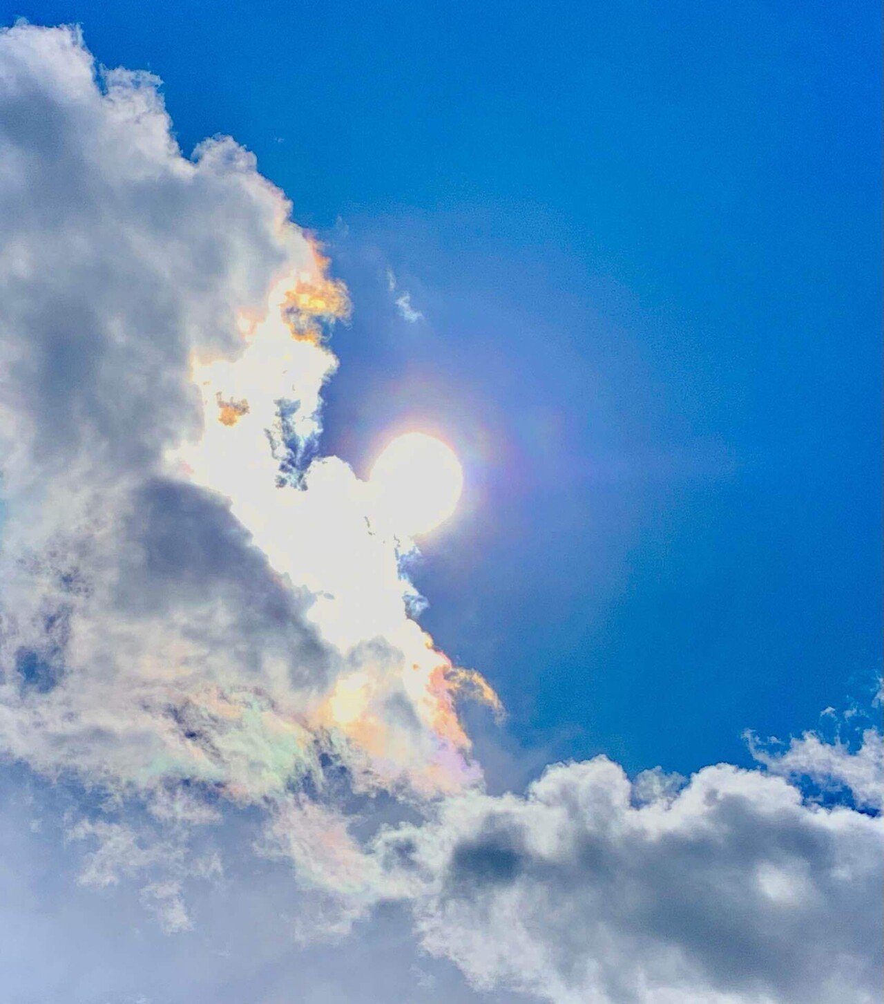 春分の空｜micay_lala