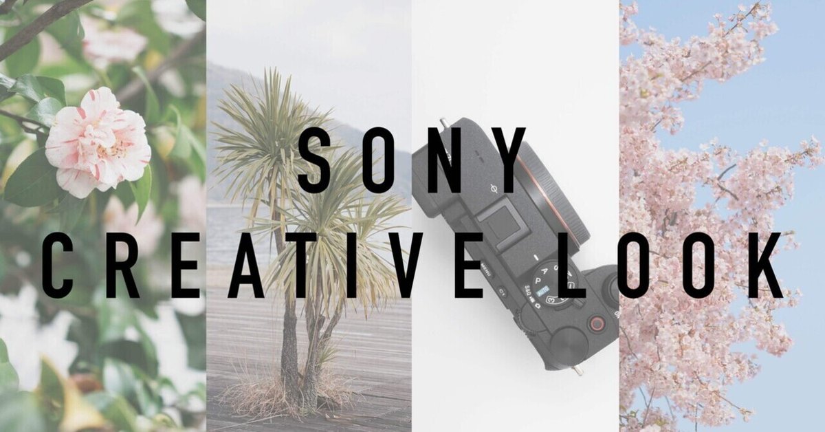 意外と良いぞ、SONYの「クリエイティブルック」【FL・IN・SH 作例】｜don