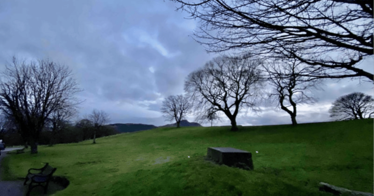 生きている人｜a_koda