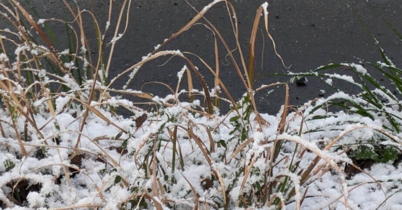 2巻232番〜作者 笠金村｜ichiro70