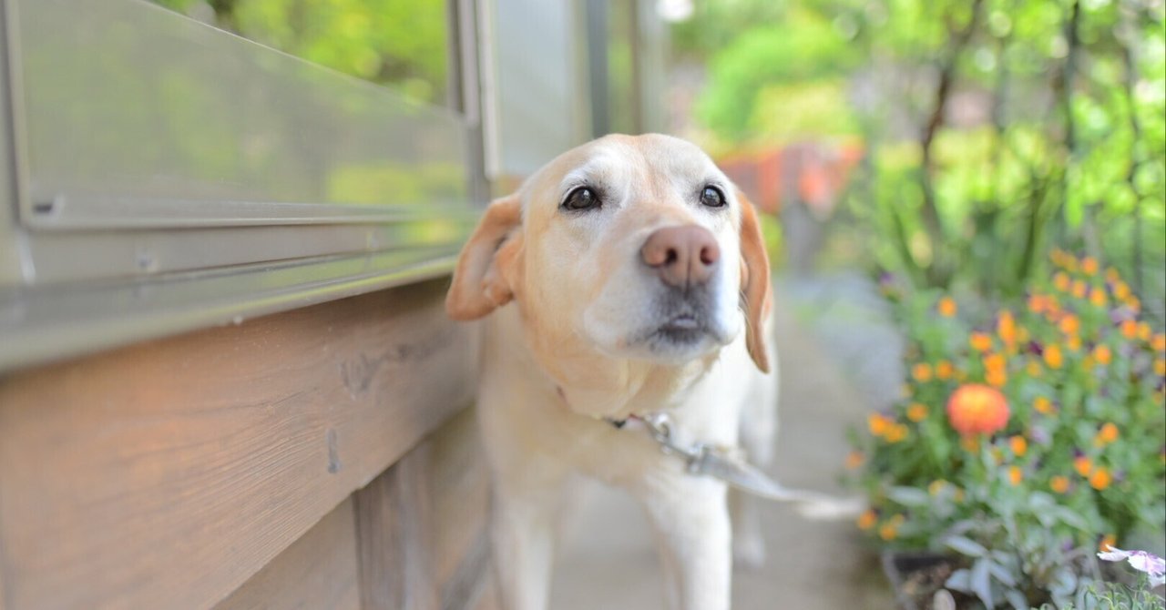 医療、介護現場で働くHSPの葛藤｜310(佐藤)