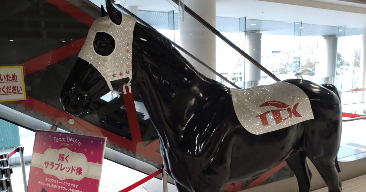 2024/3/22 C2三四五（大井9R）【推奨度S】※見解付※35部限定値下げ｜競馬予想家あやね