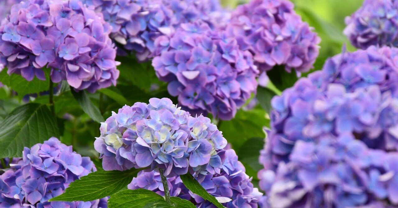 初めまして！｜koki_m_548