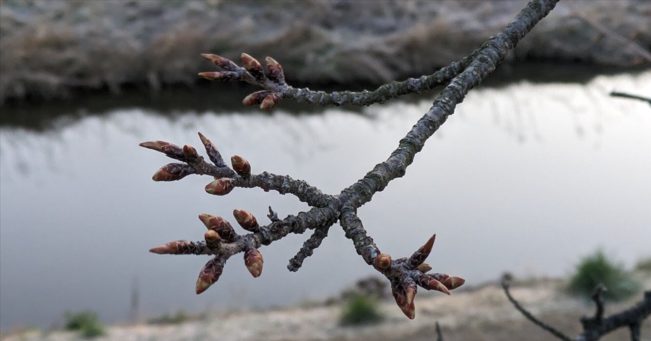 2巻233番〜作者 不詳｜ichiro70