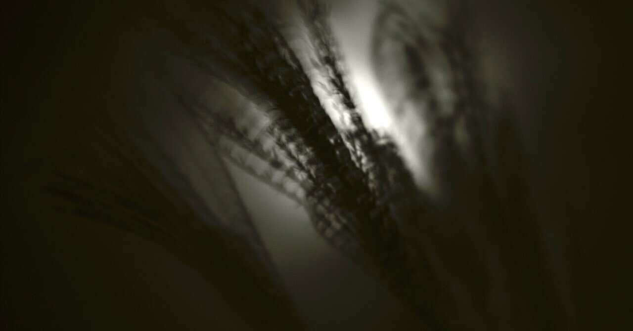 自己紹介｜kska-6