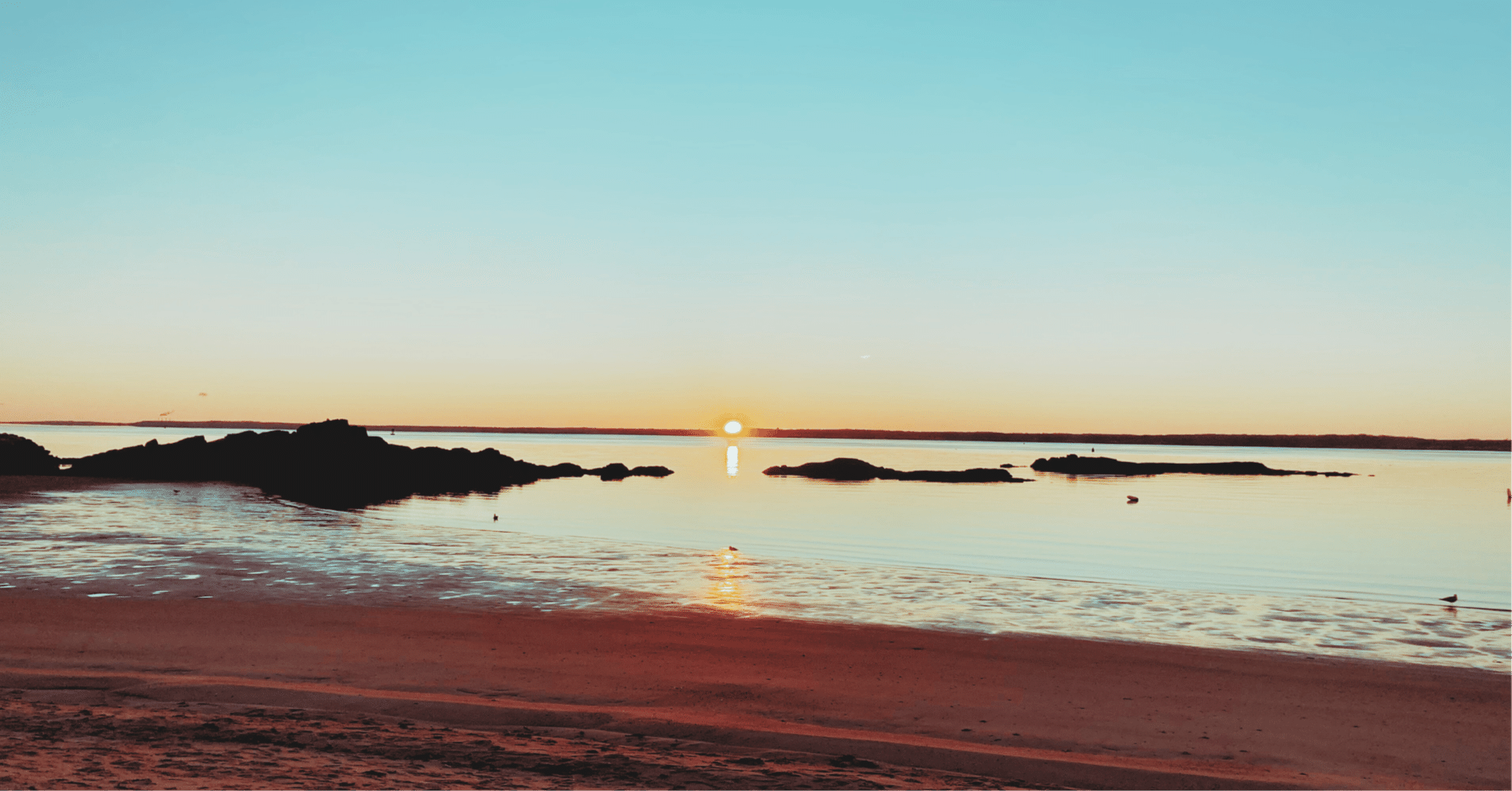 小林 浩子 Hiroko Kobayashi｜note