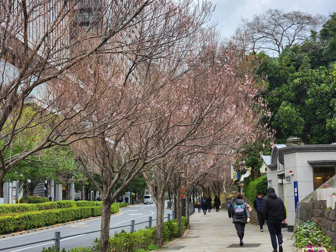 まもなく4月。 新たに社会人になる方も、新たに社会人となる仲間を受け入れる方も、働くって何だろう?という意味を自分なりに考える時期かもしれませ