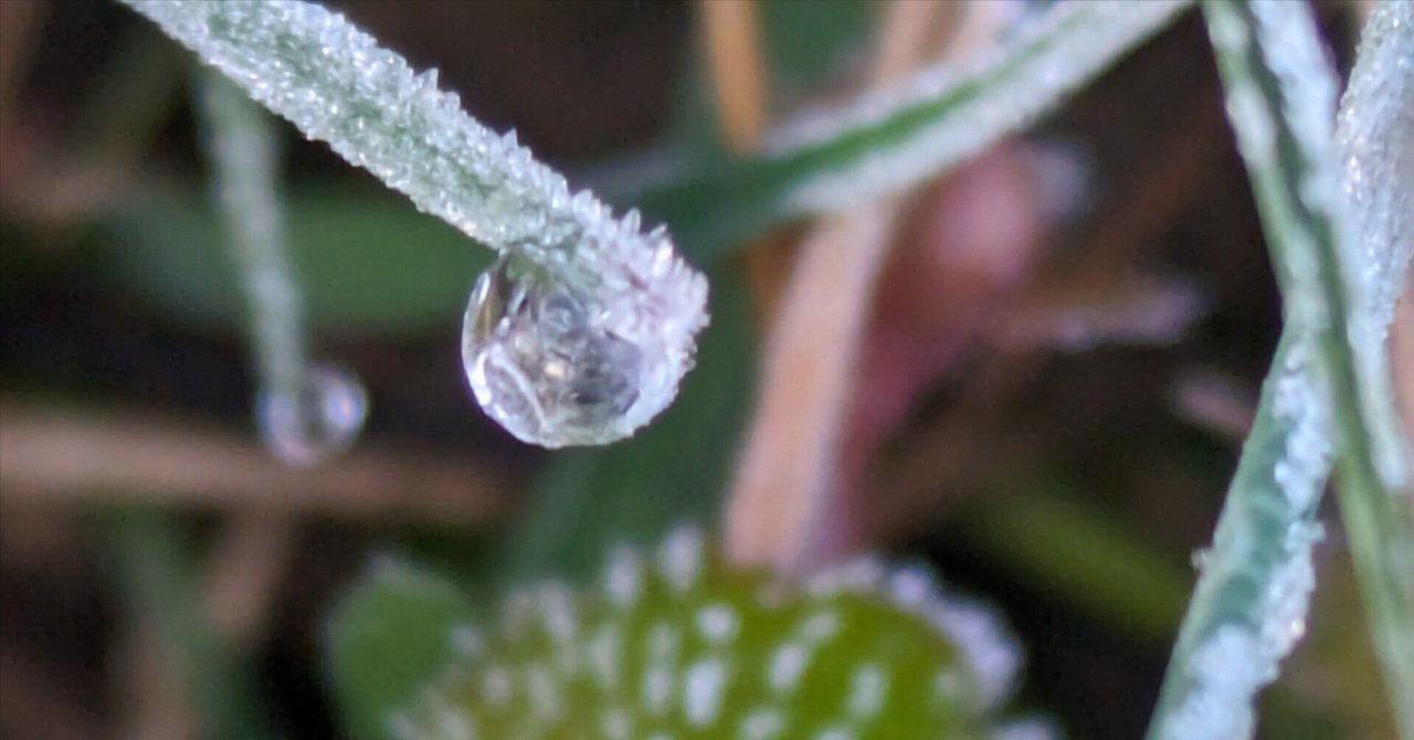 2巻234番〜作者 不詳｜ichiro70