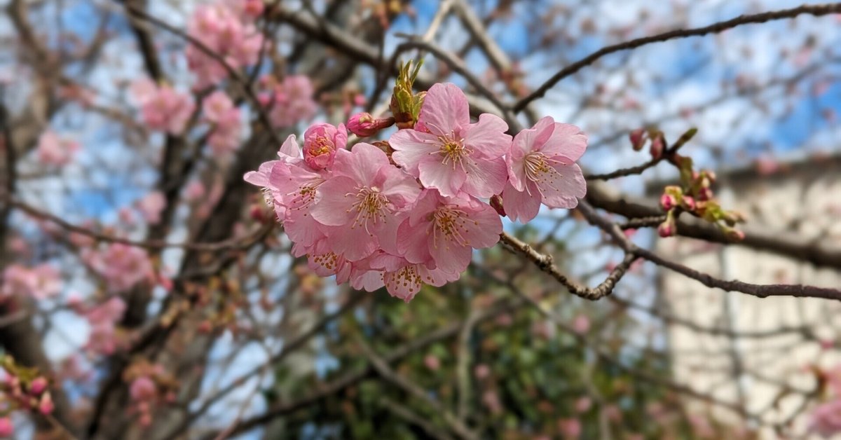 みすゞの魂に寄せる憧憬｜Hiroyuki SAEKI