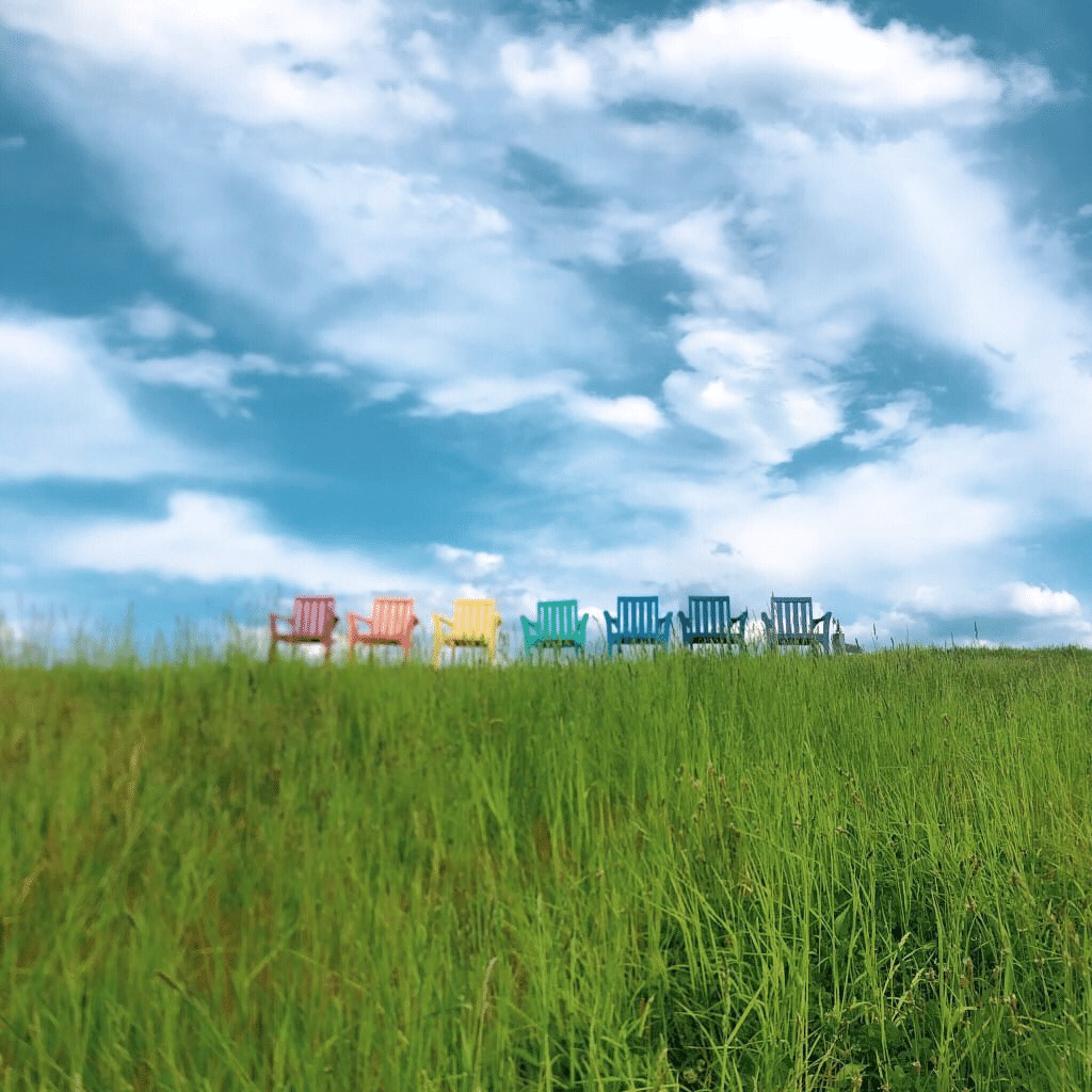 あなたは何色が好き🤍｜uki