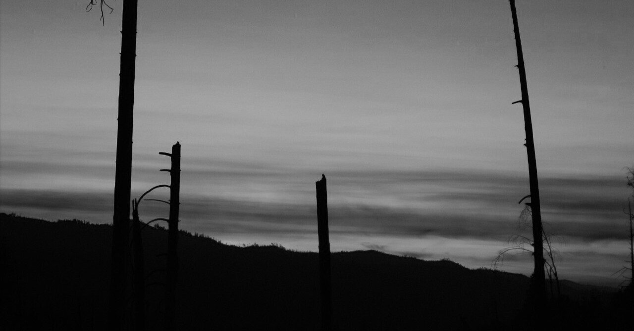 outroduction:不条理へ｜lmn