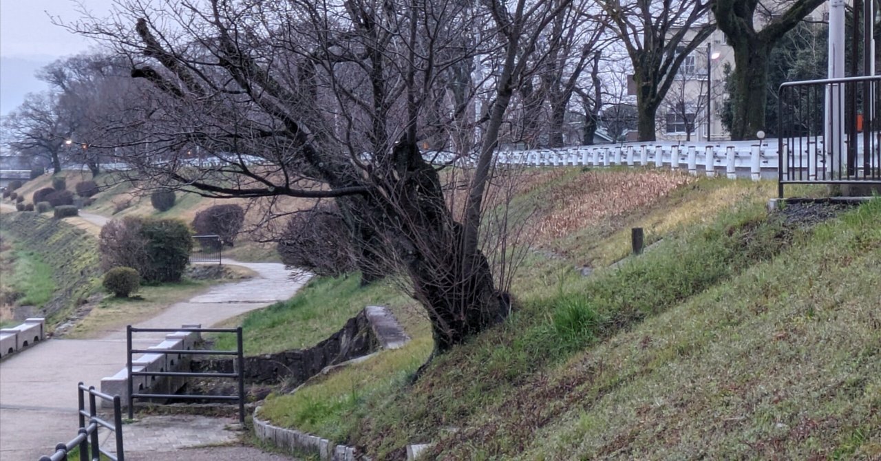 『里恋詩くて・・・熊野・高野』紀伊を愛した怒涛詩人さとちゃんを忘れない【463】｜ichiro70