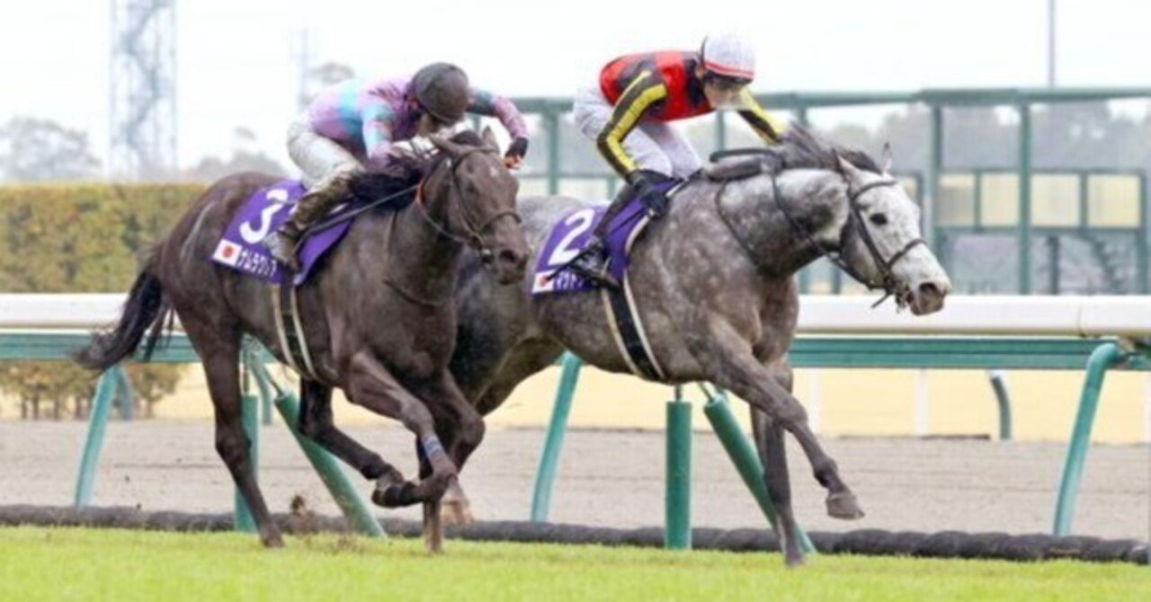 【高松宮記念（g1）回顧～その先へ】日刊コンピ篇｜haya