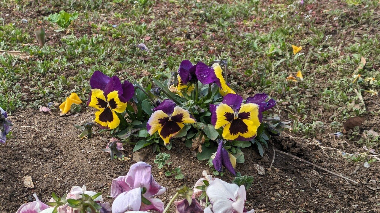 Hiroyuki SAEKI｜note