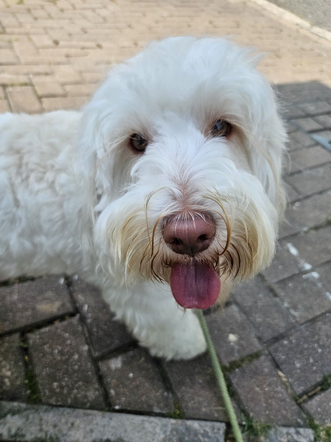 澤田 真弓 (Mayumi Sawada)の記事一覧｜note（ノート）