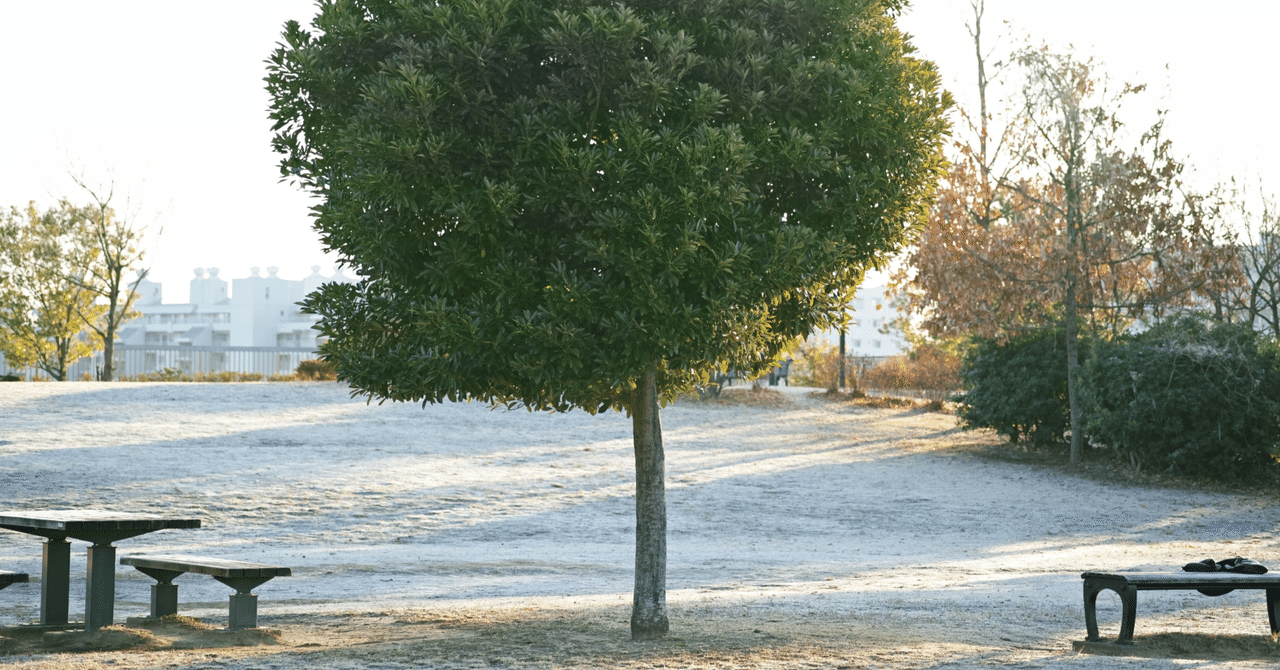 【不安や恐れ】とのつきあい方｜Risa🍃Mind-Brain.Labo（元人事のセルフハックナビゲーター）