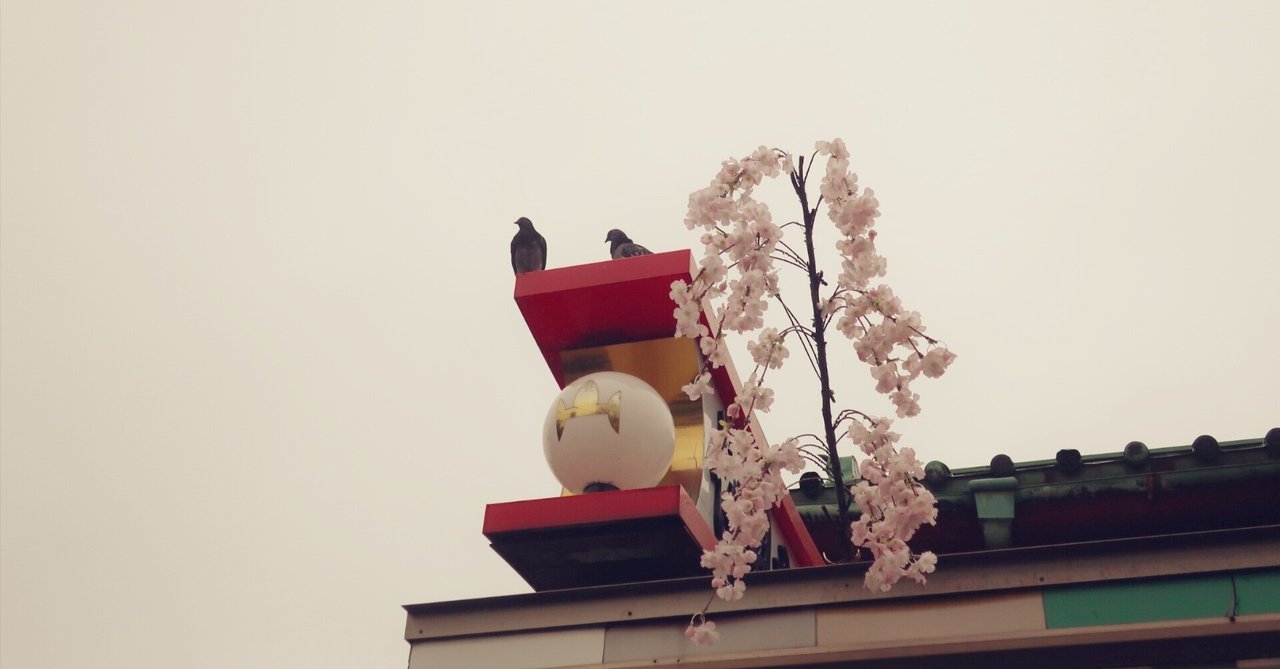 SHIOとんび｜note