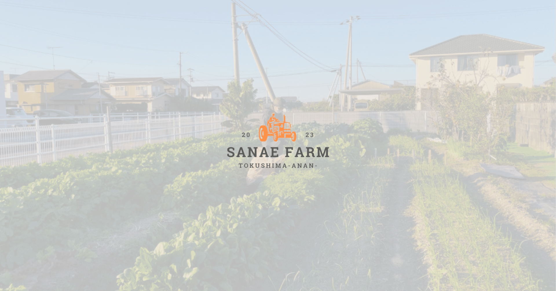 SANAE FARM | さなえファーム｜note