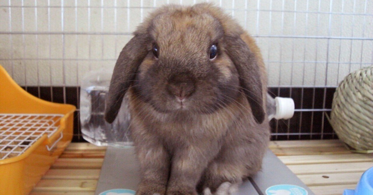 あとりえのぶ（atelier nobu）｜note