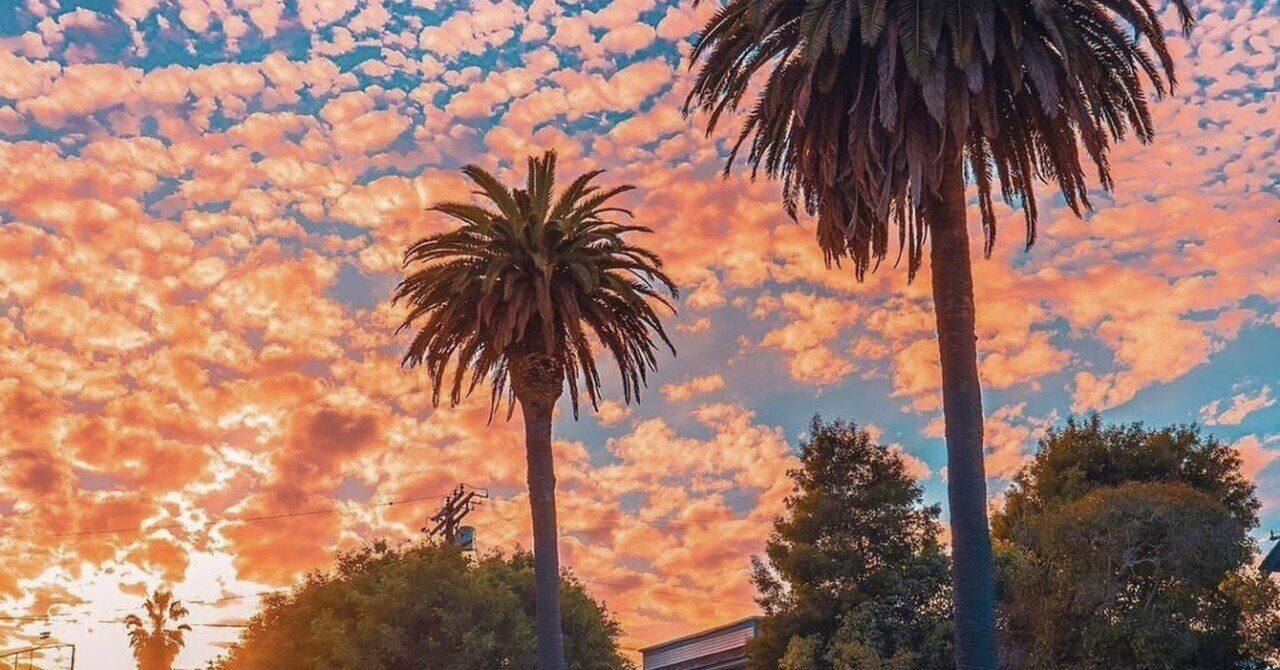 あのまち｜Master Kevin